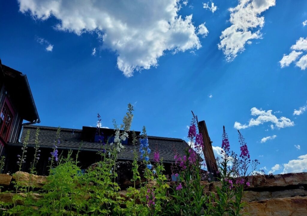Colorado Landscapes in GRAND county - Native Seed Landscaping LLC